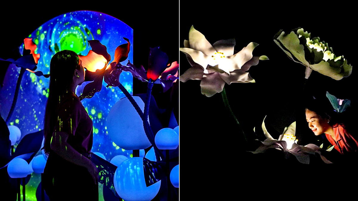 Step Inside Manila’s Newest Digital Art Museum—Where Every Corner’s a ...