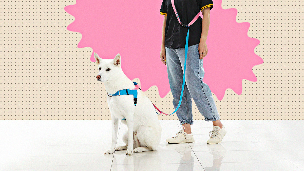 You Can Walk Your Dog Hands-Free With This Wearable Leash