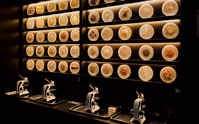 LOOK: The Country's Largest Interactive Science Museum Is Now Open