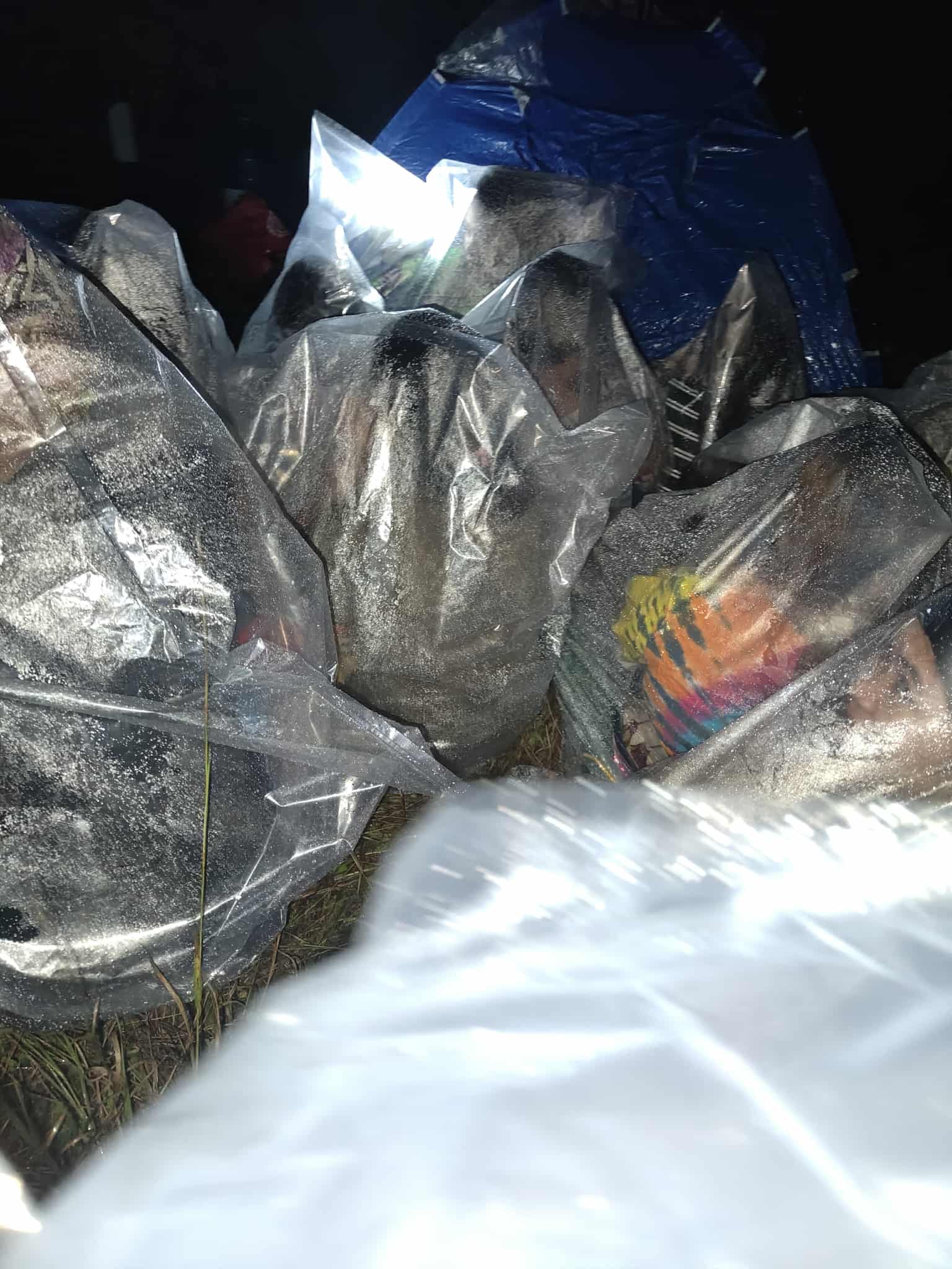 After Earthquake, These Northern Cebu Residents Take Refuge in Plastic ...