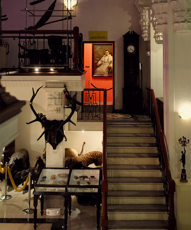 PSA: Visits to the UST Museum Are Free This Month