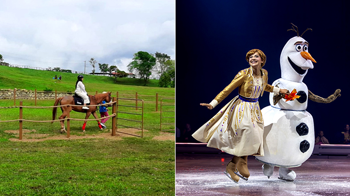 10 Things to Do During the Christmas Break